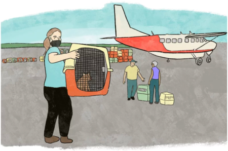 In The News - Dog Is My CoPilot